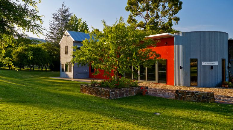 Pizzini Wines Winery Tours and Experiences