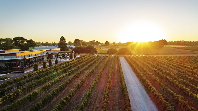Mandoon Estate Winery Tours and Experiences